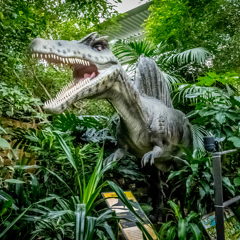 Animatronic Dinosaurs | Spinosaurus – Longtu Dinosaur Art