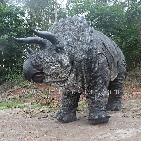 Tricertops | Realistic Dinosaur Costume – Longtu Dinosaur Art
