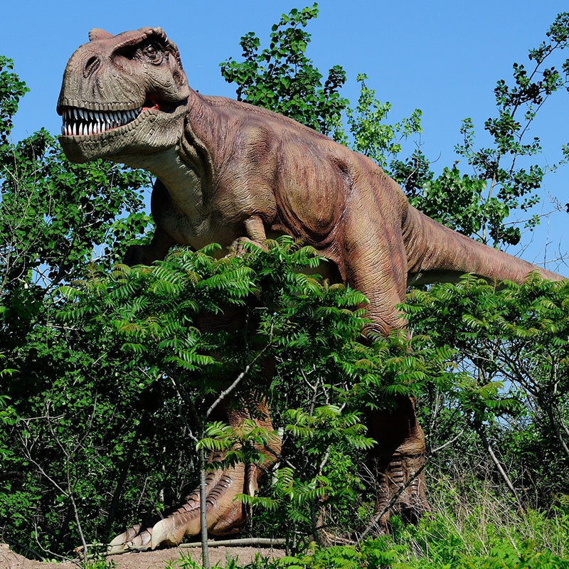Animatronic Dinosaur | Albertosaurus – Longtu Dinosaur Art